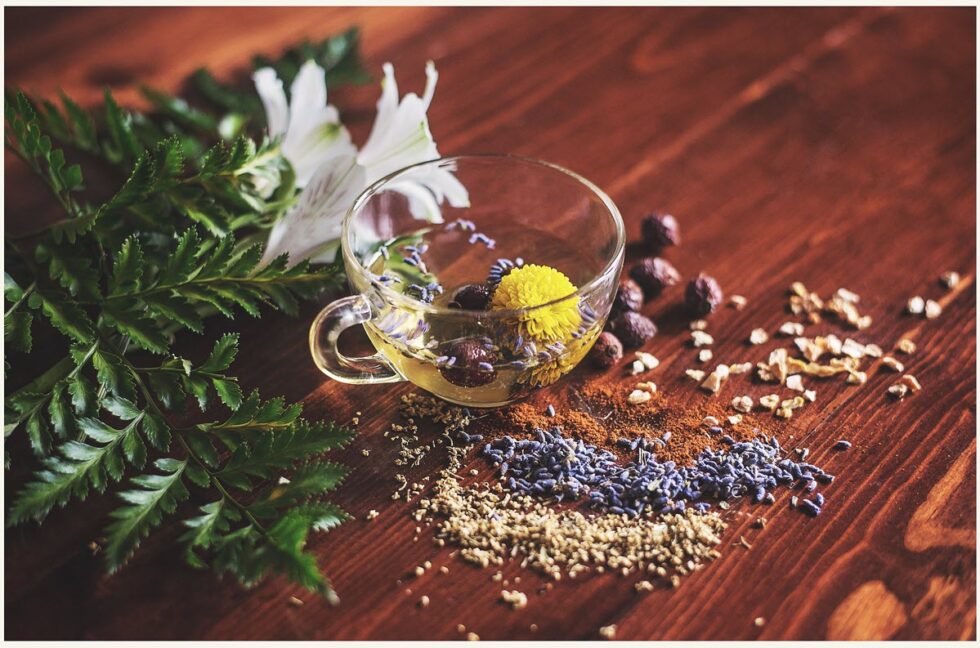 9 Best Essential Oils To Elevate Your Wellness And What To Look For